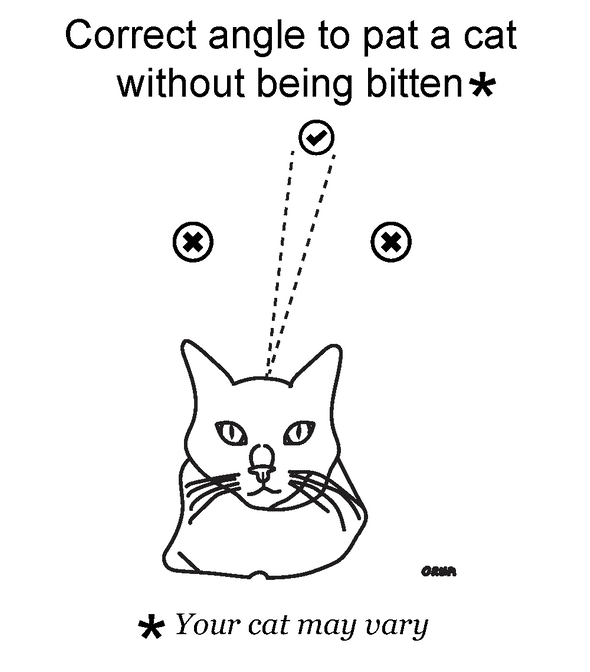 Cat angle | Orum Cartoons